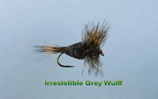 Irresistible Grey Wulff Fly - Fishing Flies with Fish4Flies Worldwide